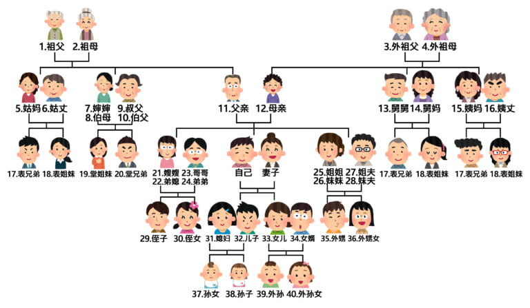 中国語の家族・親戚の呼び方のまとめ（発音付き） - オンラインで中国語学習 NetChai Media